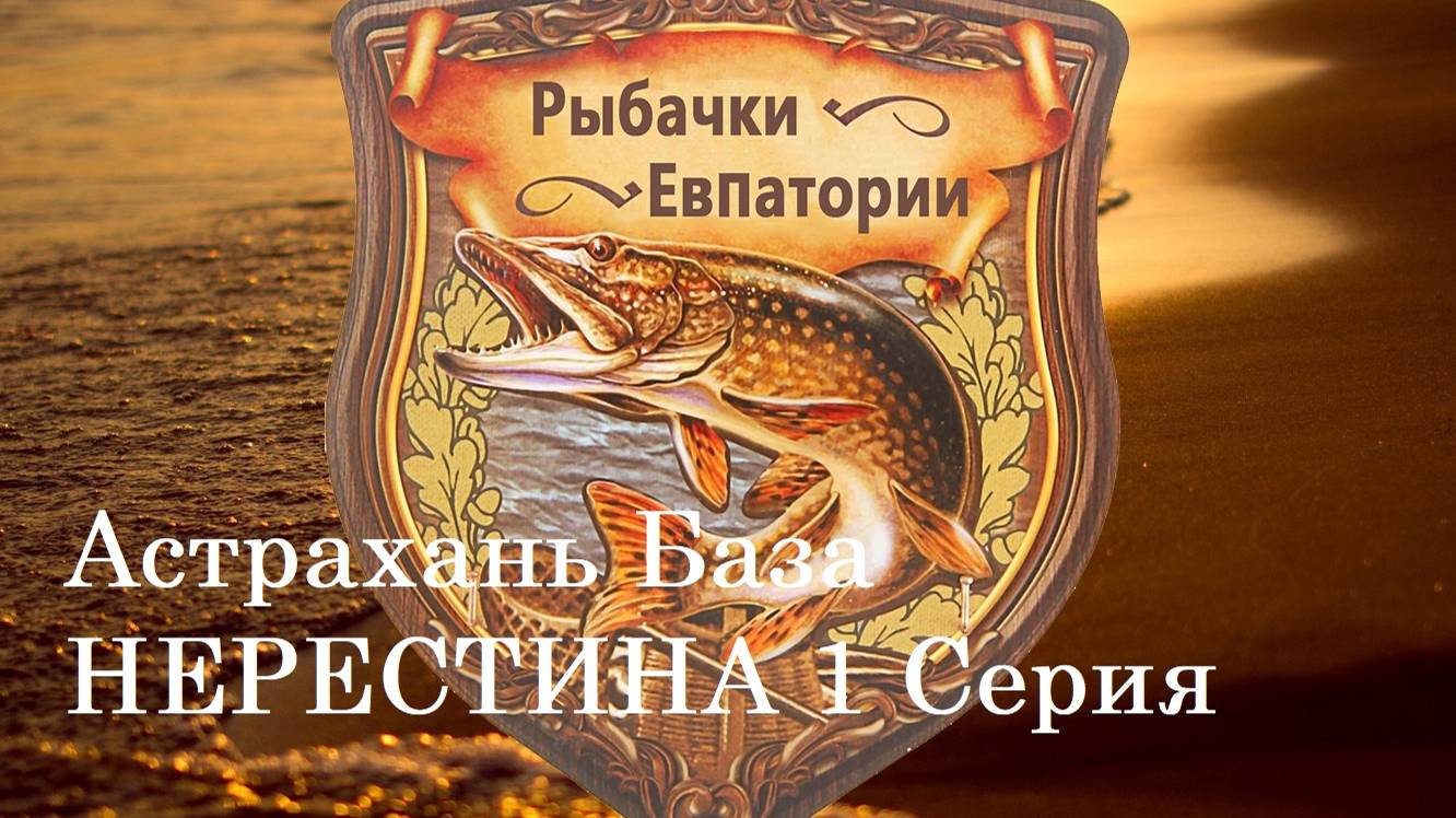 НЕРЕСТИНА 1 СЕРИЯ 2022 АСТРАХАНЬ