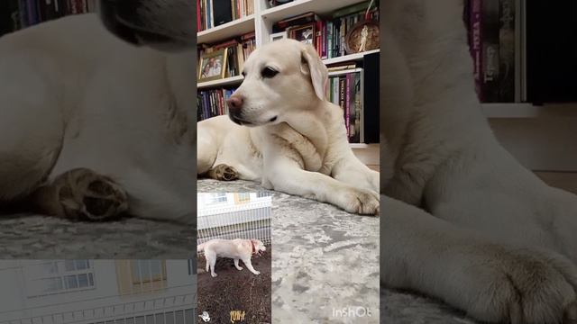 Такая всякая Я