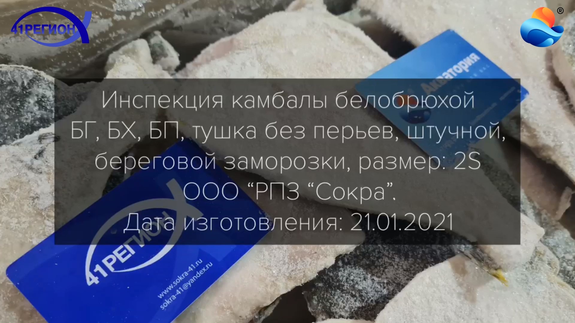 Инспекция камбалы белобрюхой БГ, БХ, БП, тушка без перьев, размер: 2S, ООО «РПЗ «Сокра»