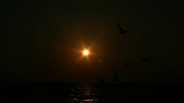 Должанка.mp4