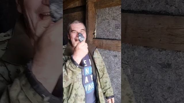 Сборник юмора и приколов ч6