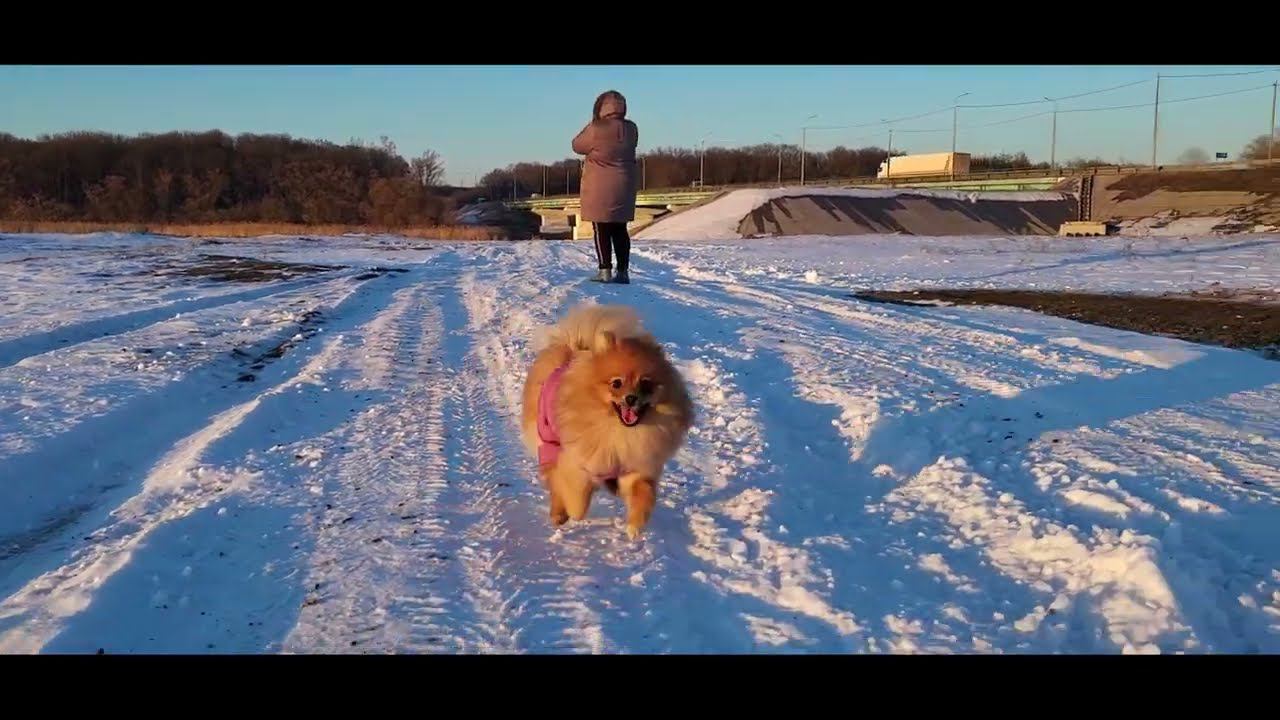 Я в моменте... Последняя зимняя красота Курск 2022