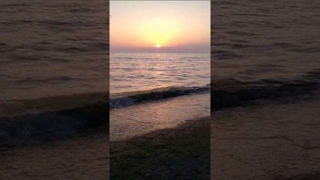 Море, чайки, шум волны и вечерний закат.