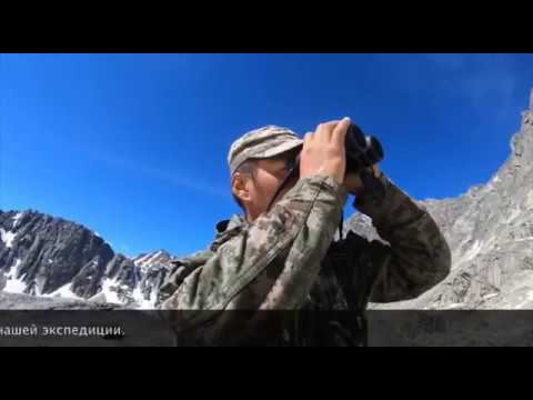 В поисках барсов Шапшала