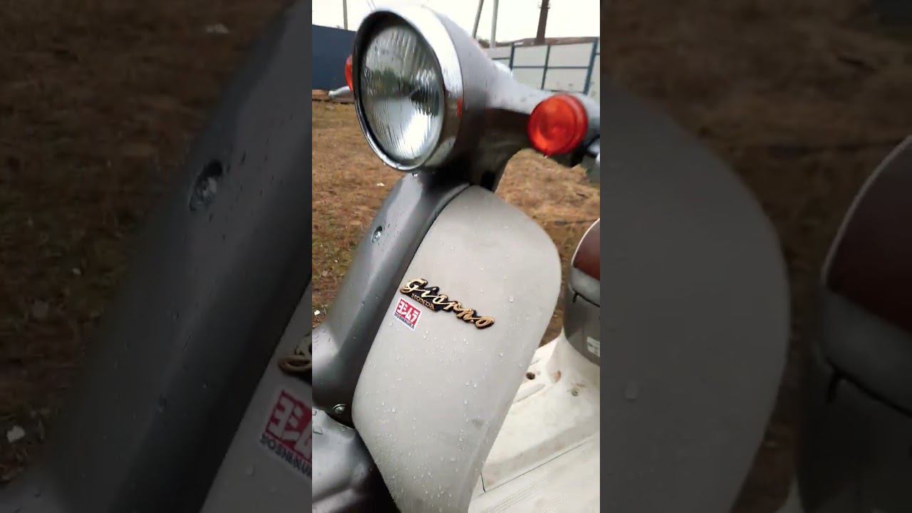 Honda giorno Af24 , после ноябрьских покатушек