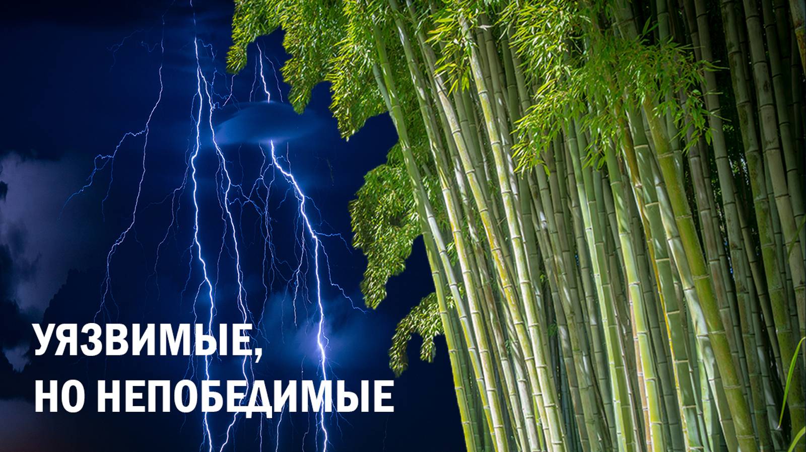 Восстановление из психотравмы