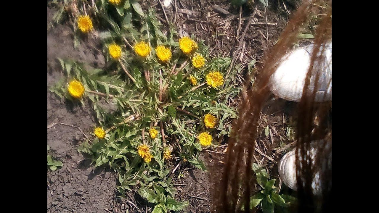 2019-04-28-Пасха