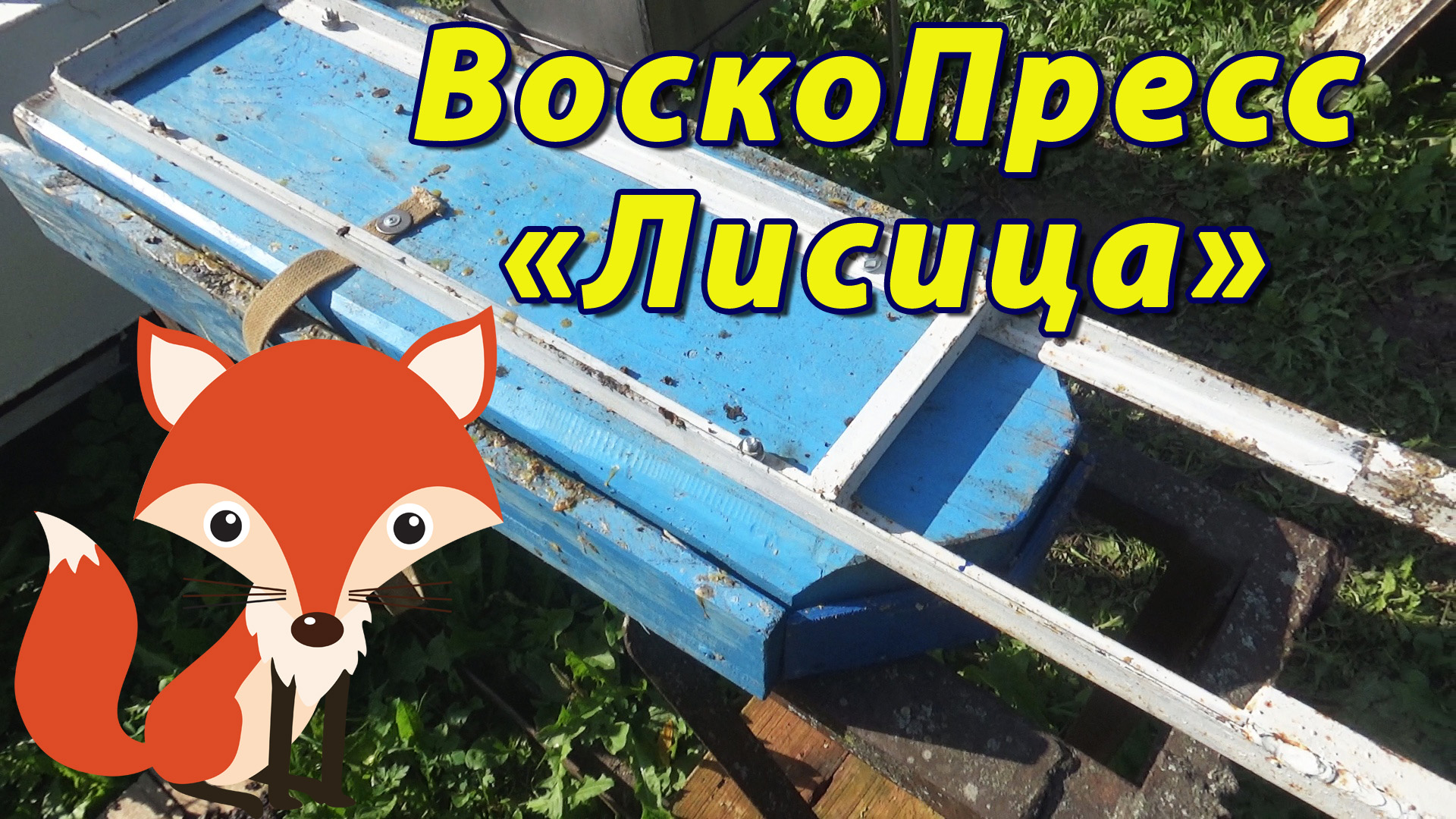 Усиленный воскопресс Лисица. Сколько воска получается из мервы.