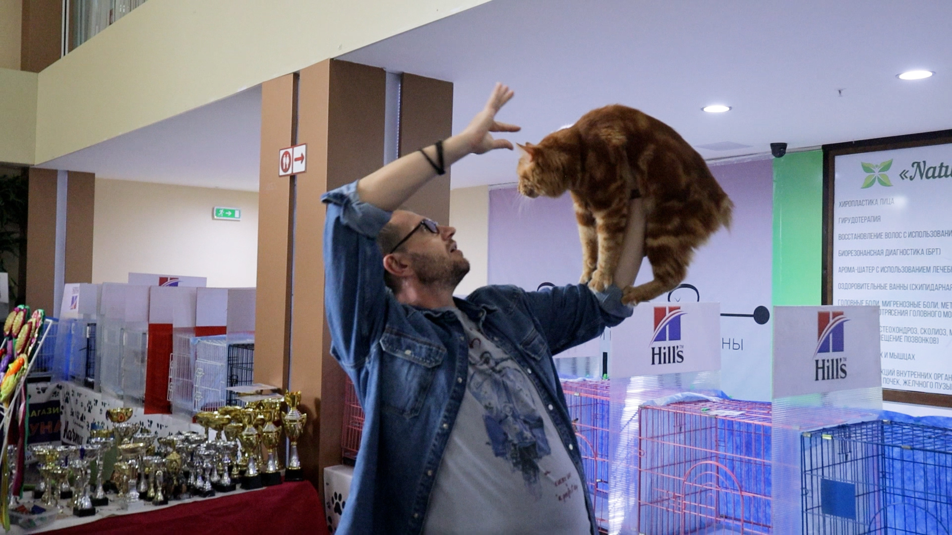 Усы. Лапы. Хвост. 80 кошек и добродушный пес.