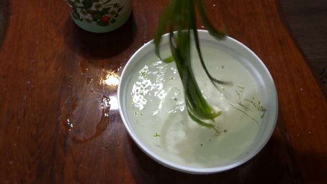 Как #побороть #водоросли за 1 час!