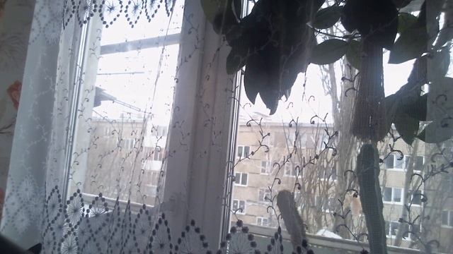 Осторожно мошенники