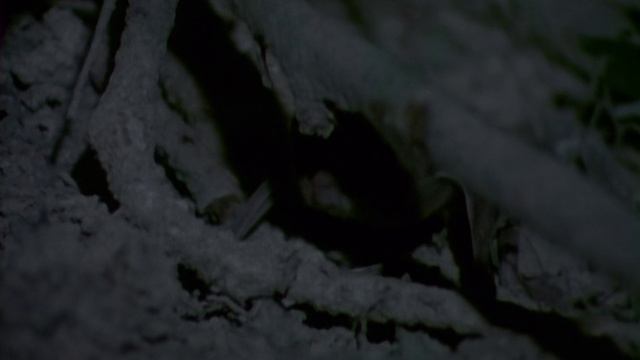 Борьба за выживание 9 серия «Друзья и соперники» (документальный сериал, 1990)