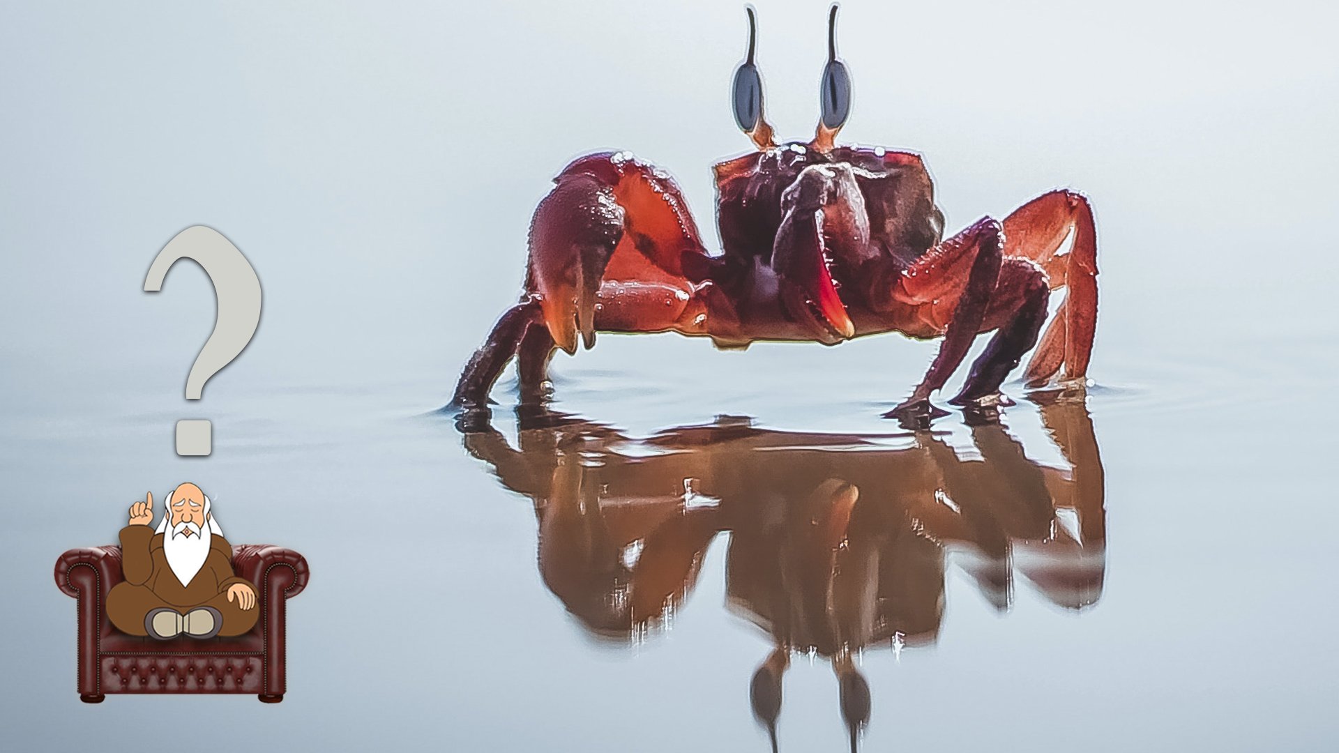 Ведро с крабами / Богатый ПАПА Кийосаки советует