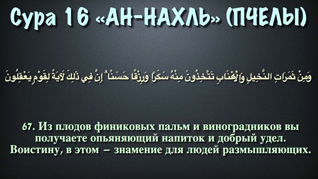 Сура 16 ан-Нахль (арабские и русские титры) - Мухаммад Люхайдан
