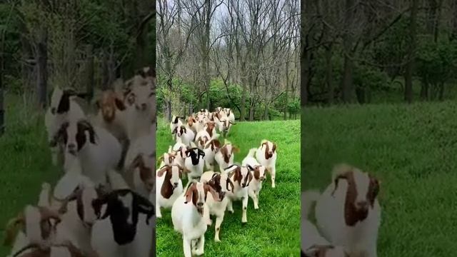 VID_20221219_210324_670.mp4