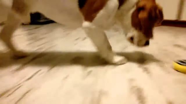 Аэрохоккей.mp4