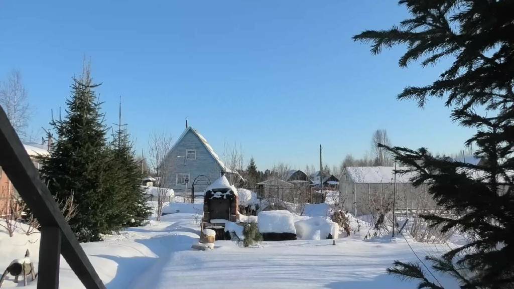 17-20 02 2023г ура солнышко,прореживаю подкармливаю рассаду