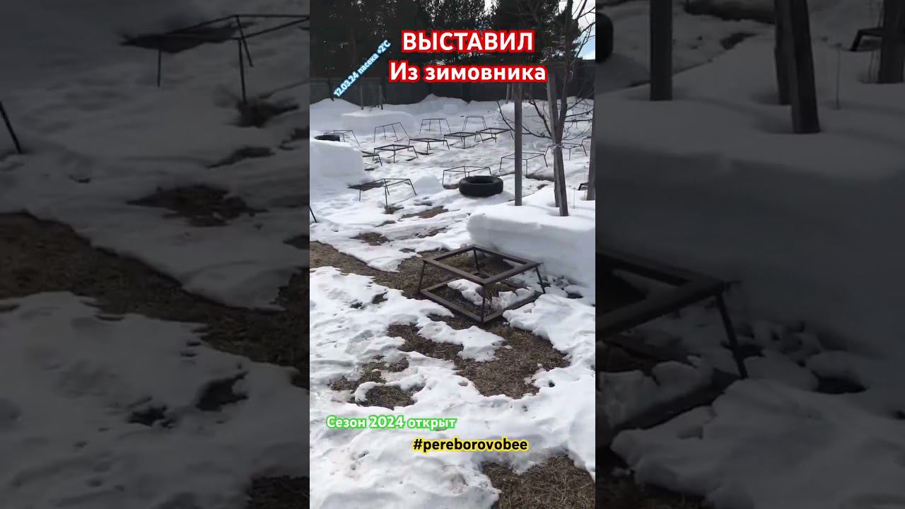 Выставил улья. | ПЧЕЛОВОДСТВО! #pereborovobee #пасека #пчеловодство #улей #bee