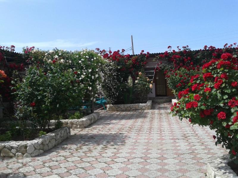 Отдых в Оленевке частный сектор. Оленевка жилье для отдыха недорого. «Долина роз» ГОСТЕВОЙ ДОМ