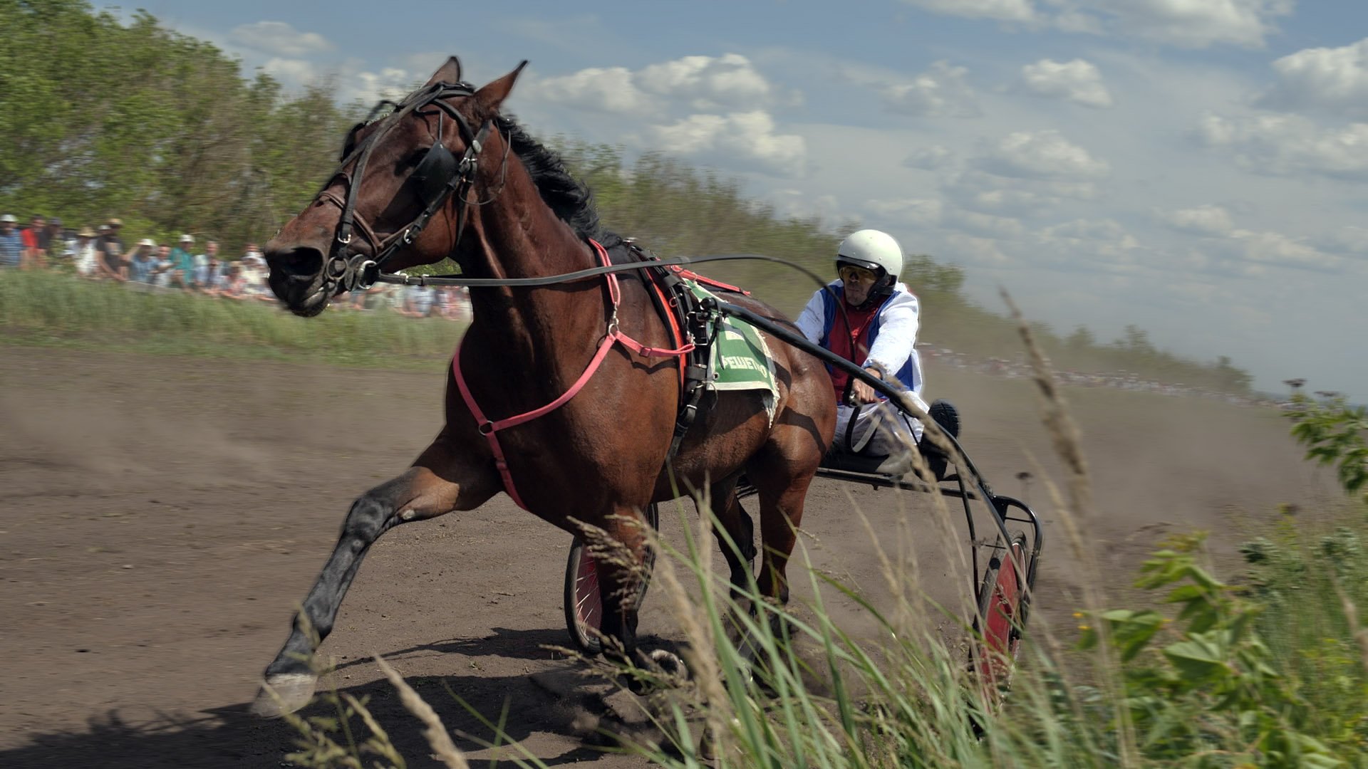 СКАЧКИ В РЕШЕТИНО 2023 (Марат Янборисов)