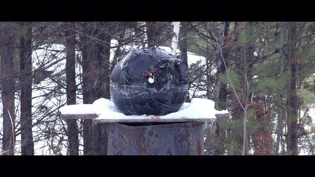 Bolt + блочный арбалет