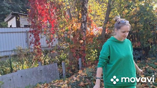 Покос участка