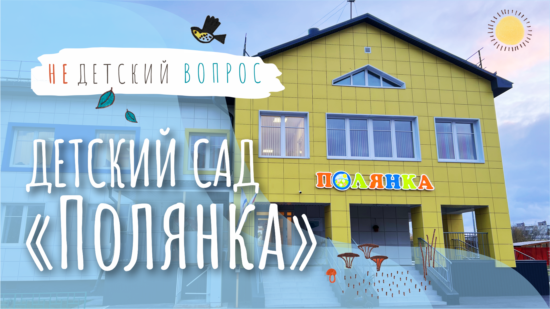 Аэробика, север и домики для кошек_Недетский вопрос_Выпуск 4