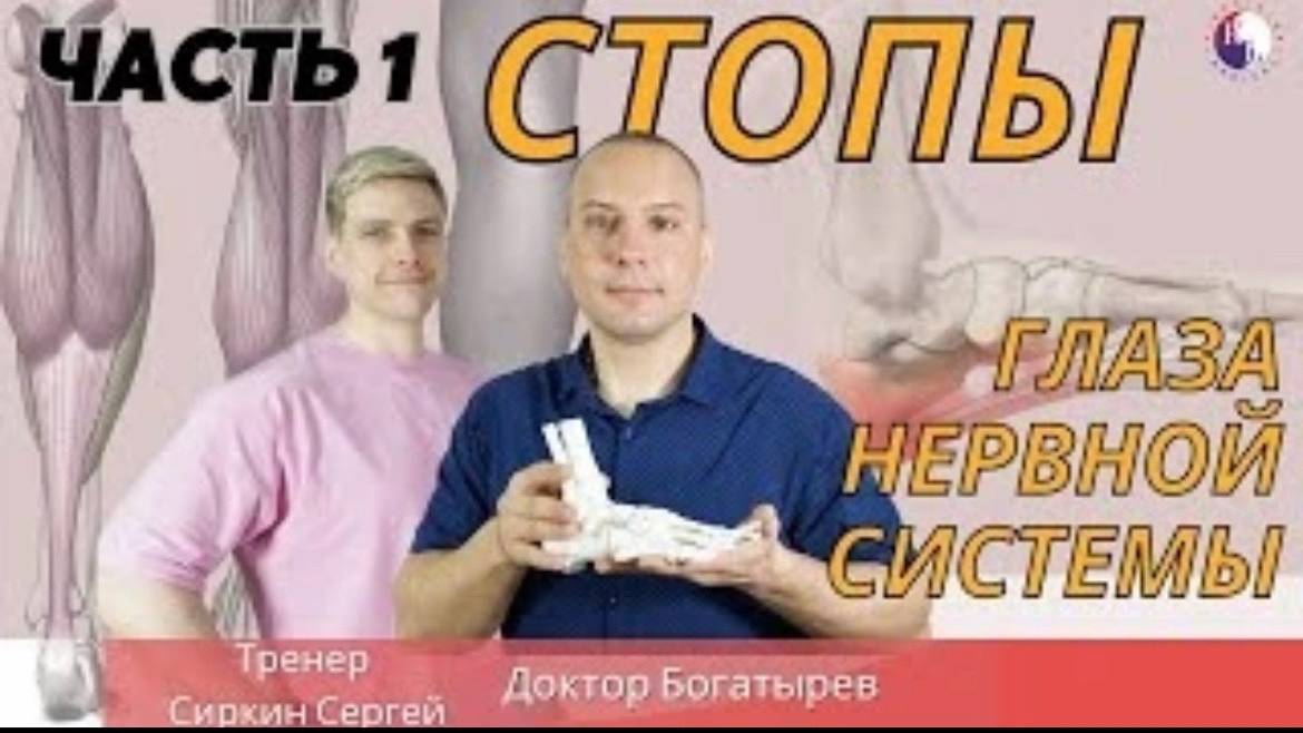 Здоровые стопы. Какие упражнения помогут укрепить стопу и ПОЧЕМУ это так важно_ ЧАСТЬ 1
