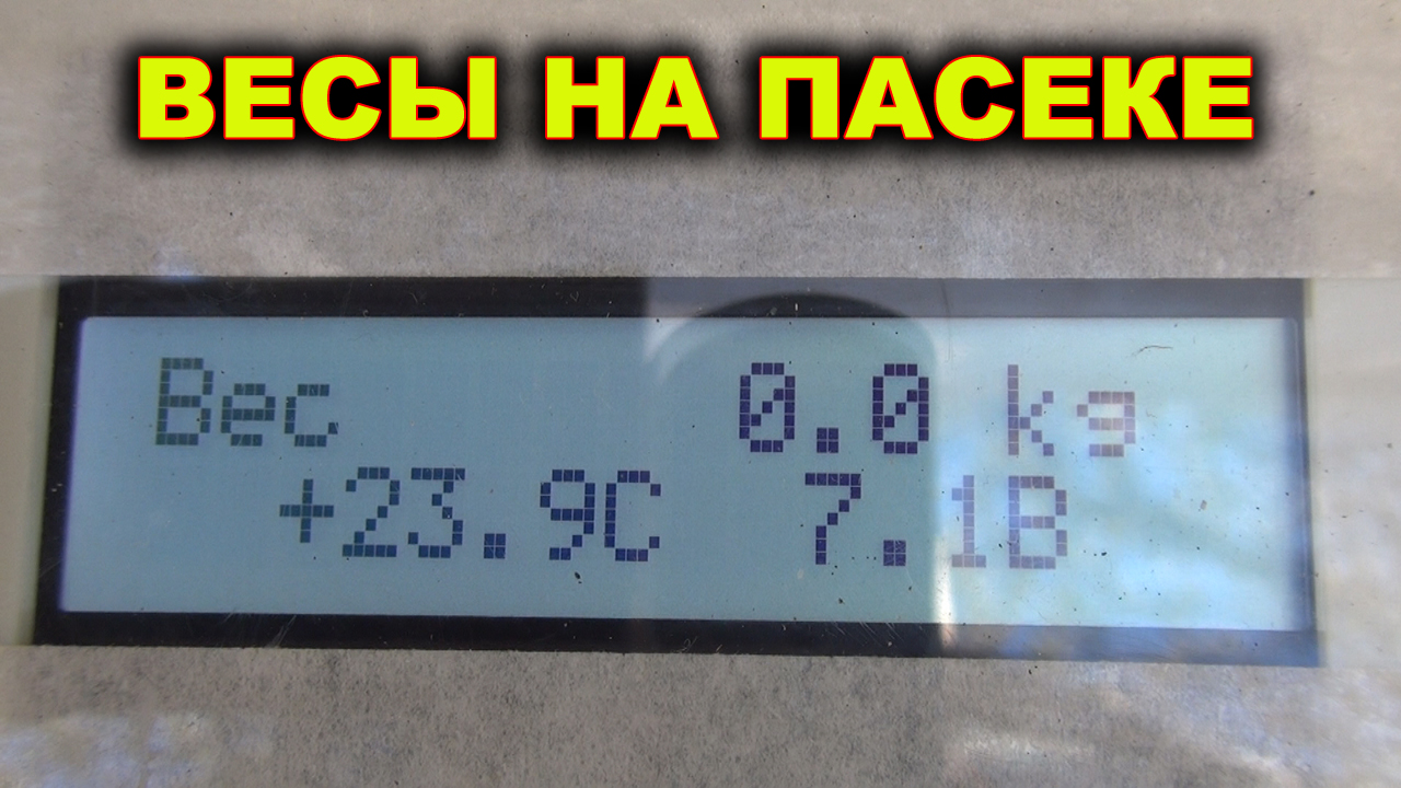 Весы на пасеке.