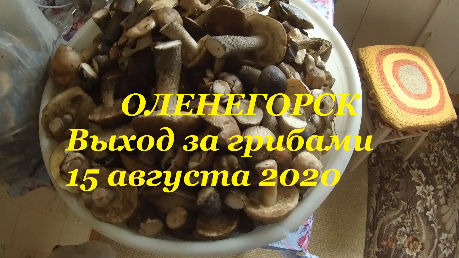 СБОР ГРИБОВ . ОСЕНЬ. 2020 год.