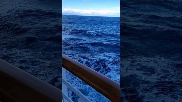 Начало шторма века. Вид с 6-ой палубы Астория Гранде /Astoria Grande , 19 ноября 2023г.