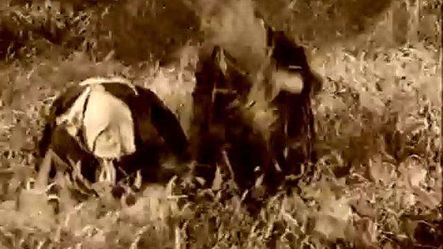 Русский локомотив. История экономического чуда в России 2  Столыпинская реформа.mp4