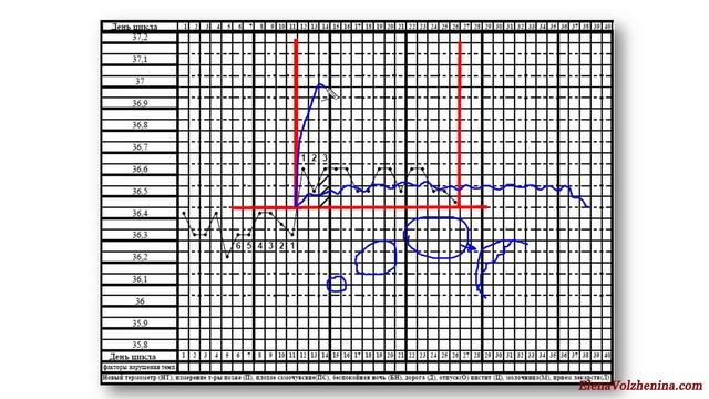 Нетипичные циклы. Лютеинизация фолликула. Урок 2-3.mp4