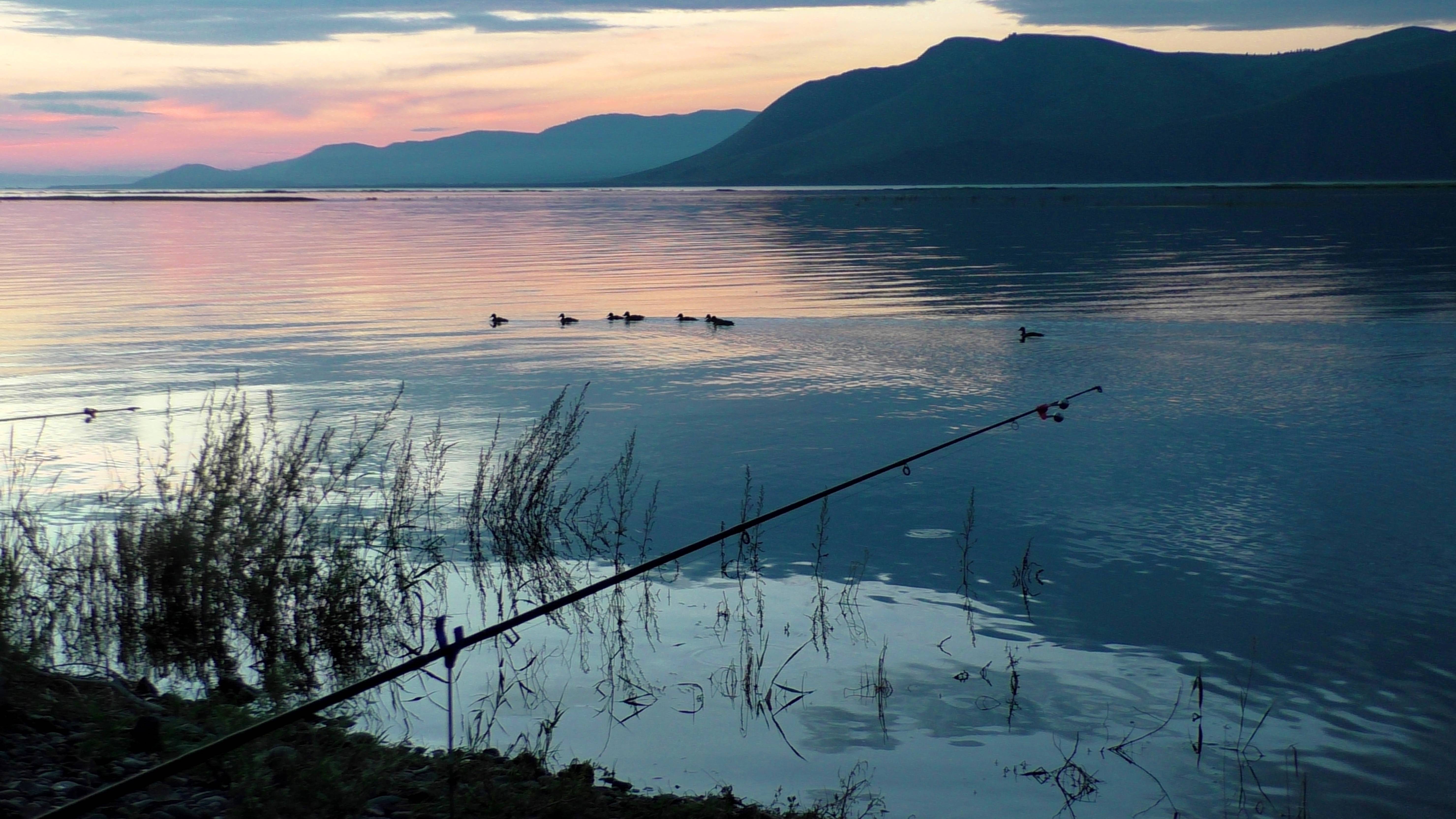 Хроники рыбалки. Лето 2024 ч-10