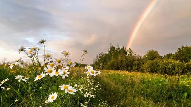 Ольга Живойкина - Лето (автор и исполнитель)