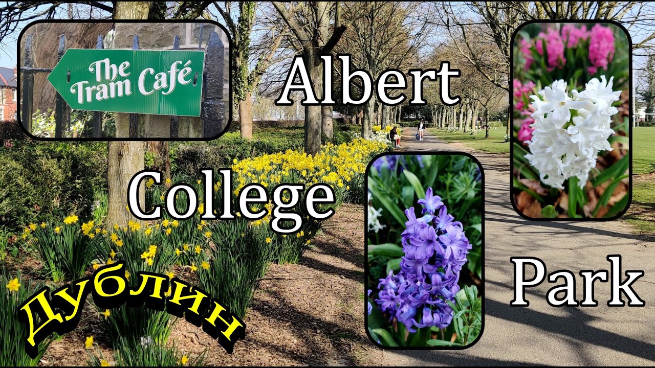 А в Дублине весна в самом разгаре!