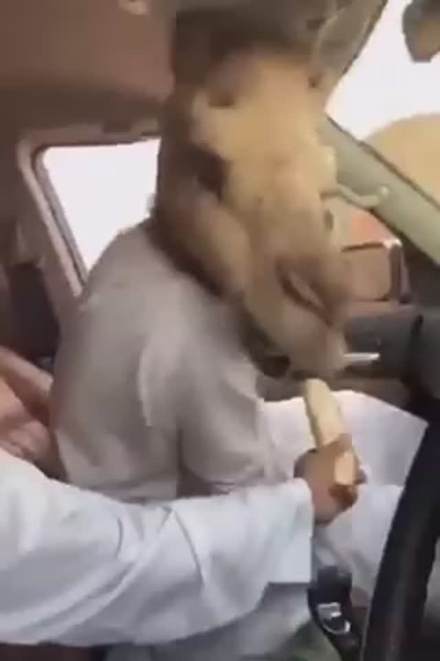 Простите завтрак здесь выдают  #ПРИКОЛЫ #УГАР #ЮМОР