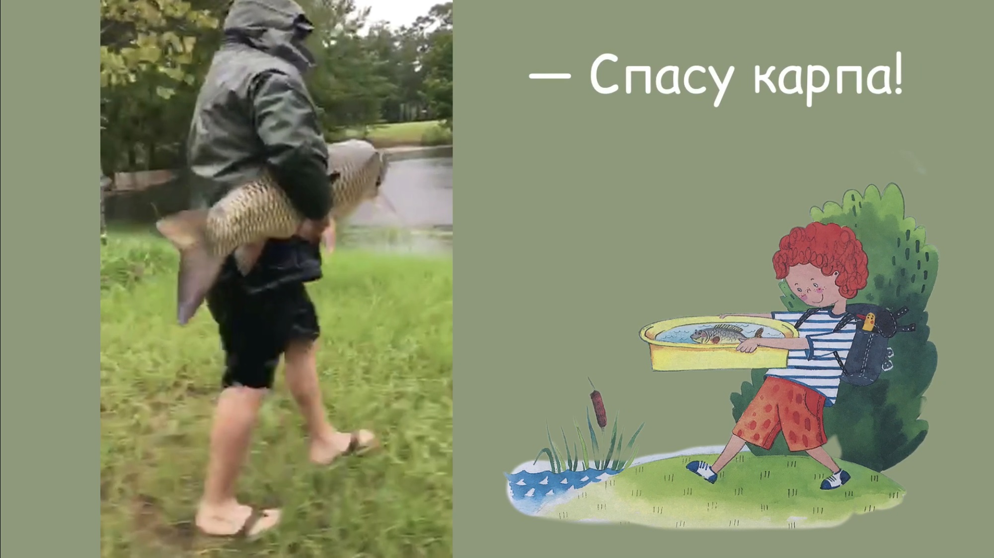 Эта книга учит доброте. «Карп»