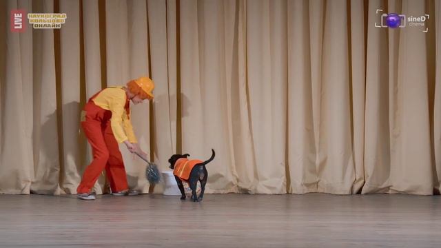 Стаффордширский бультерьер