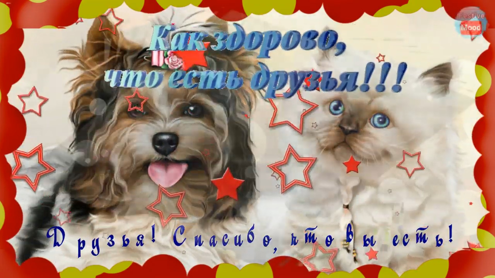 ✌Позитивчик для друзей✨.mp4