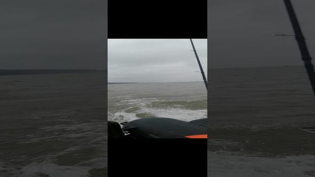 Старт второго дня соревнований фистиваль золотая осень 2024 новосибирск