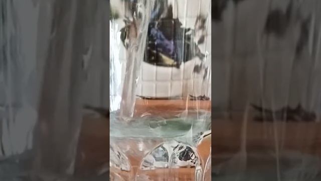 Ролик на свободную тему