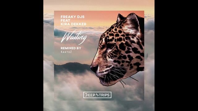 Freaky DJs & Kira Dekker - Waiting (KaktuZ Remix)