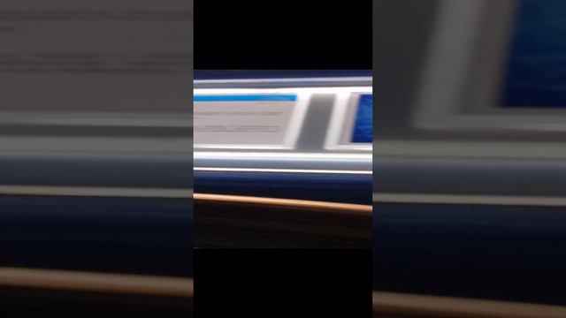 океанариум Спб Питер аквариум рыбки рыбы аквариумы аквариумные аква под водой подводный мир вода