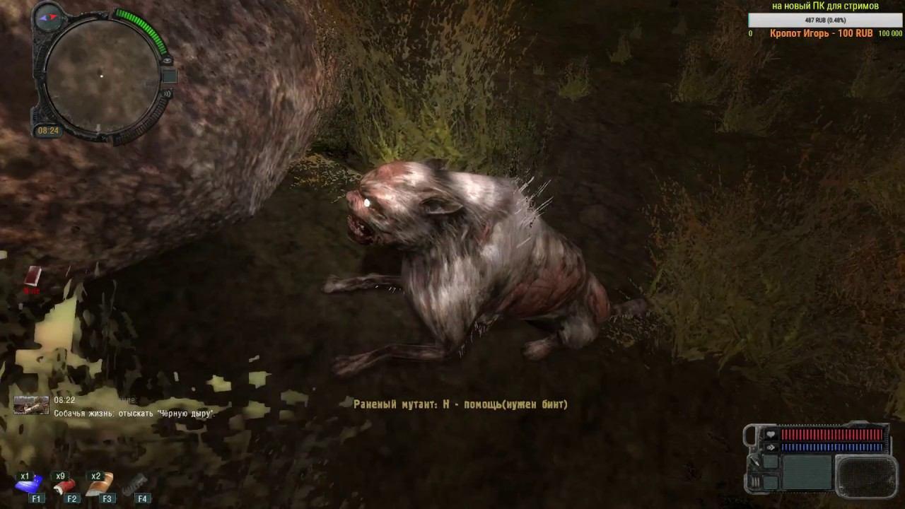 сталкер Выживший Побег из зоны Собачья жизнь