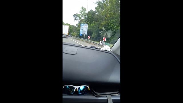 Граница ФРГ и Польская Н.Р