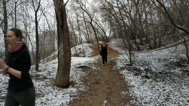 пробежка моржей столицы  ноябрь 2020