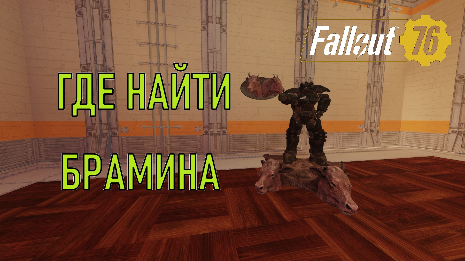 Fallout 76 Где найти брамина