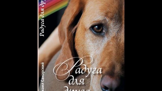 Книги о людях, рассказанные животными