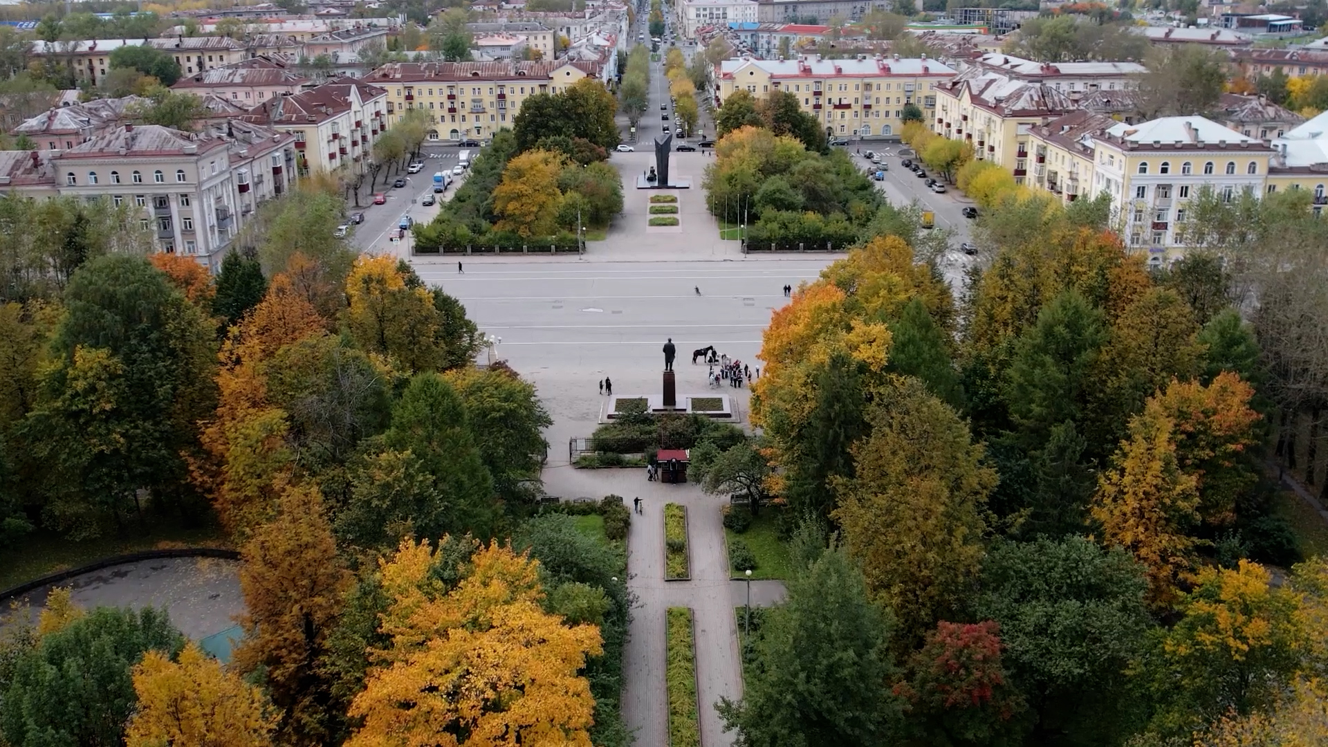 Здравствуй, дерево! # 8